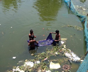 The Bangalore Lake Diaries