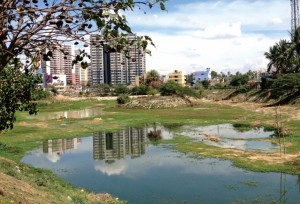 The Bangalore Lake Diaries