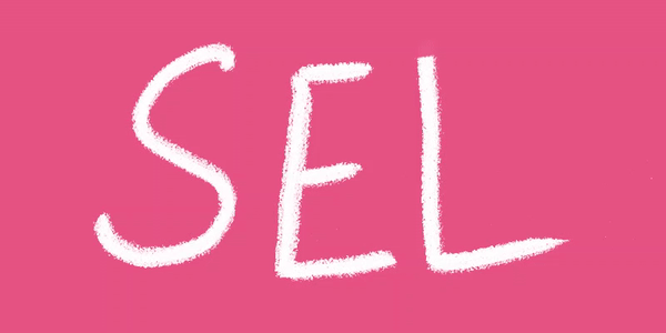 Social and Emotional Learning – Why it needs to be mainstreamed in ...